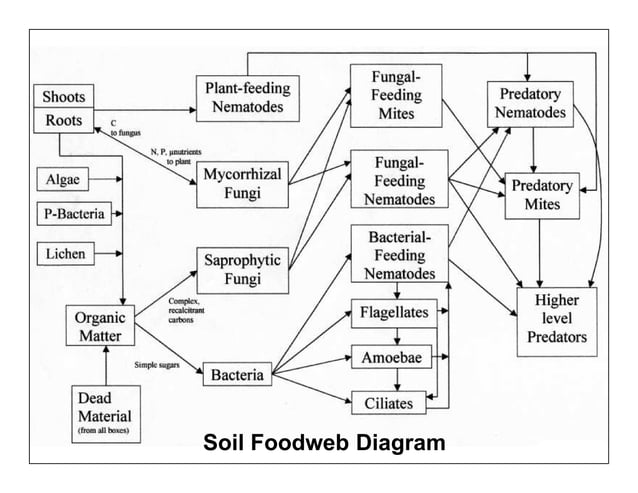 Microbial Inoculants: Effective Microorganisms (EM) & Indigenous ...