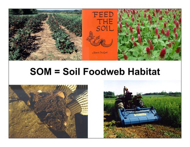 Microbial Inoculants: Effective Microorganisms (EM) & Indigenous ...