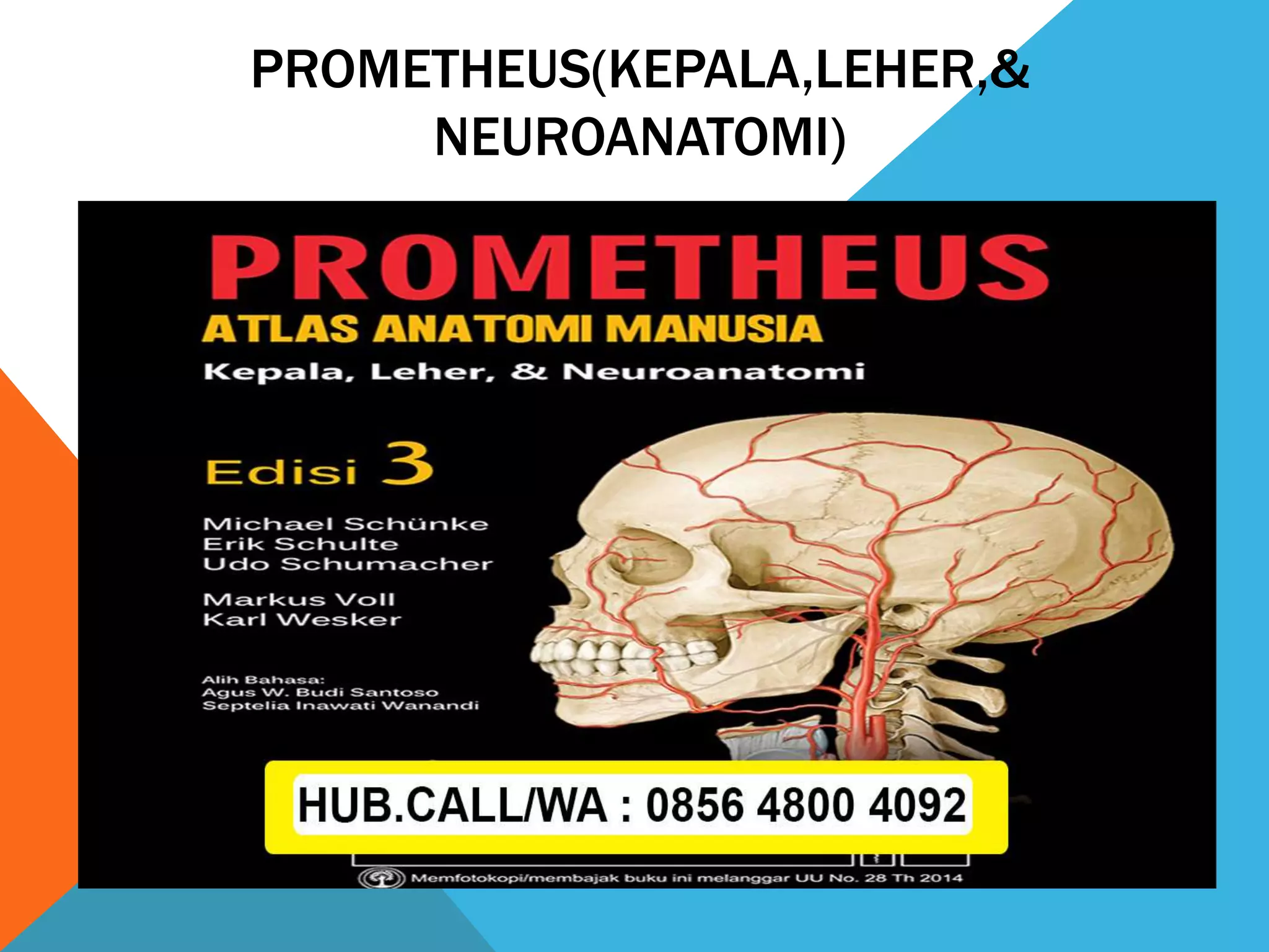 Atlas neuroanatomy prometheus,Prometheus anatomi pdf,Prometheus en neuroanatomie, 0856 4800 4092 ...