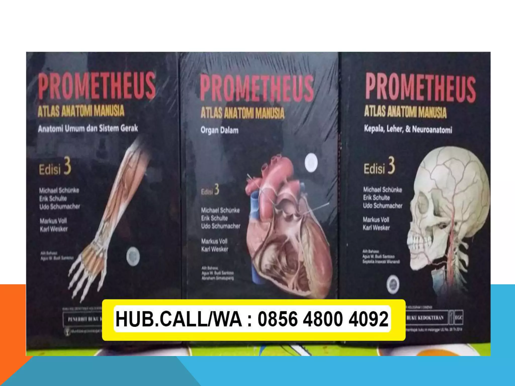 Atlas neuroanatomy prometheus,Prometheus anatomi pdf,Prometheus en neuroanatomie, 0856 4800 4092 ...