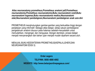 Atlas neuroanatomy prometheus,Prometheus anatomi pdf,Prometheus en ...