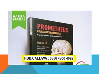 Atlas neuroanatomy prometheus,Prometheus anatomi pdf,Prometheus en ...