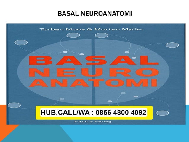 Atlas neuroanatomy prometheus,Prometheus anatomi pdf,Prometheus en ...