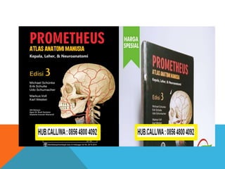Atlas neuroanatomy prometheus,Prometheus anatomi pdf,Prometheus en ...