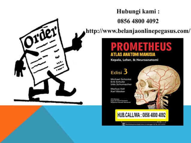 Atlas neuroanatomy prometheus,Prometheus anatomi pdf,Prometheus en ...