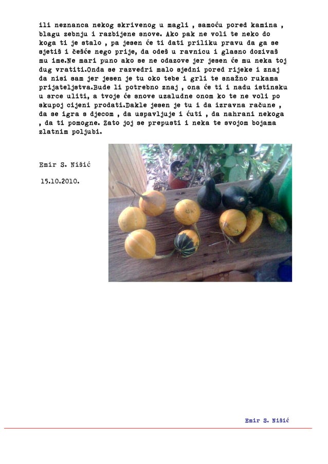 Emir Nisic -Moja kratka prica o jeseni | PDF