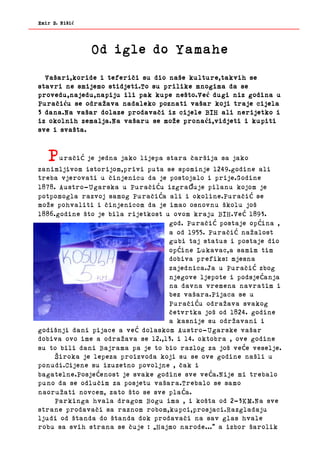 Emir Nisic- Puracic 2007 | PDF