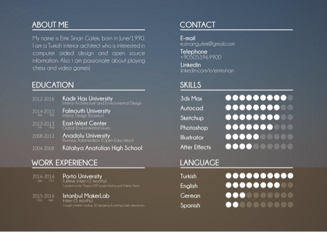 Emir Sinan Gürlek - Portfolio | PDF