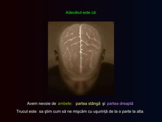 Emisfere cerebrale | PPS