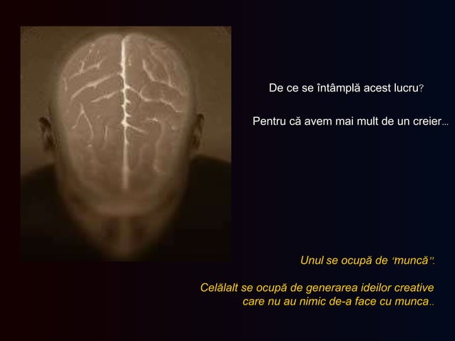Emisfere cerebrale | PPS
