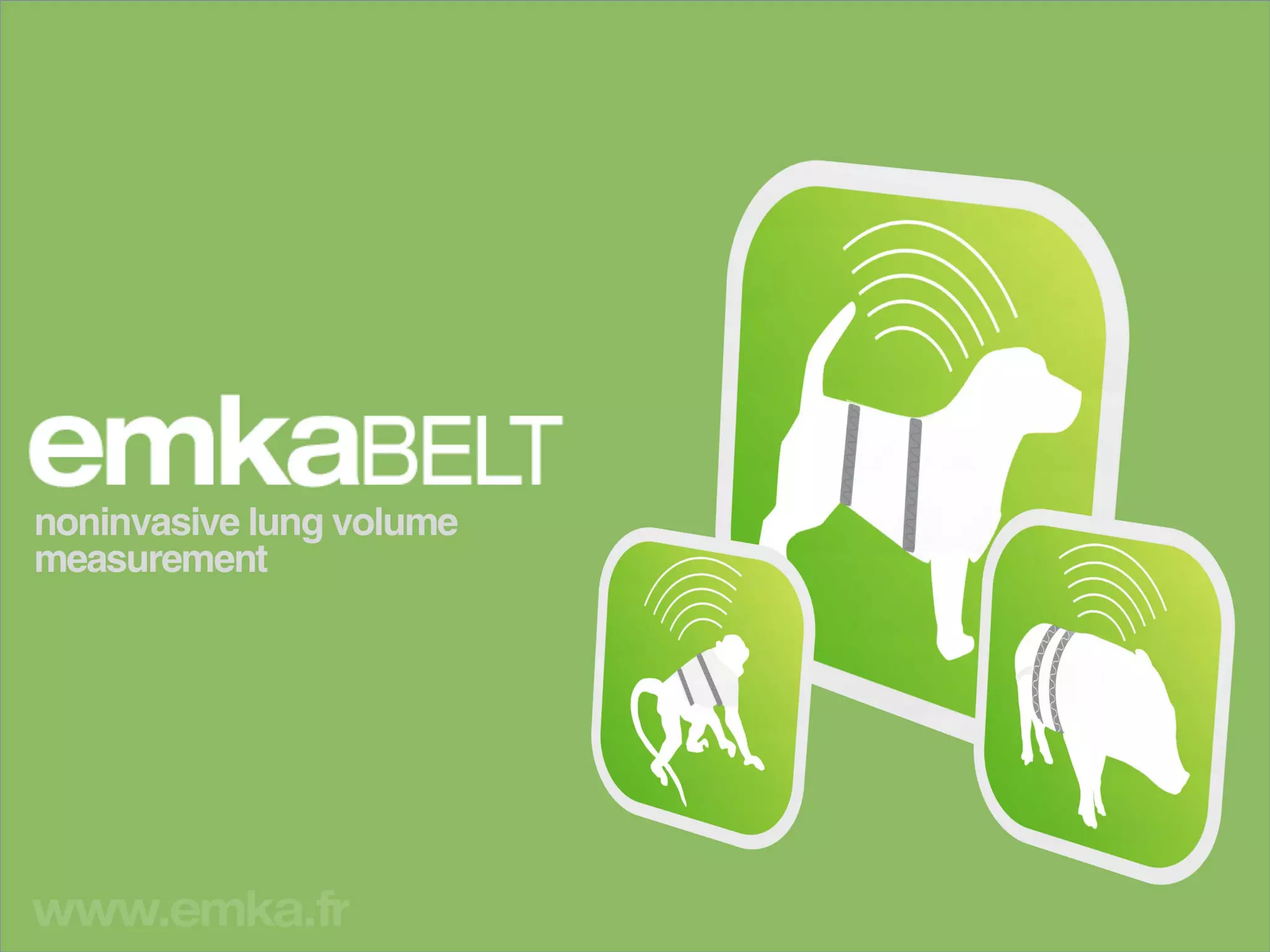 emka TECHNOLOGIES - Telemetry - emkaBELT noninvasive telemetry ...