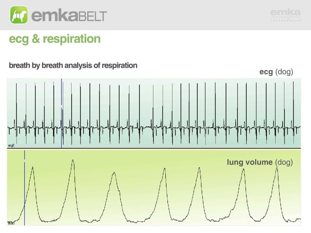 emka TECHNOLOGIES - Telemetry - emkaBELT noninvasive telemetry ...