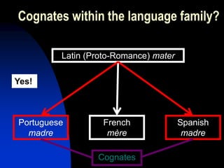EMLex-Diachronic-lexicography-and-lexicology-1.ppt