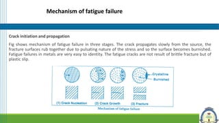 Fatigue failure and creep, Engineering Materials, Mechanical ...