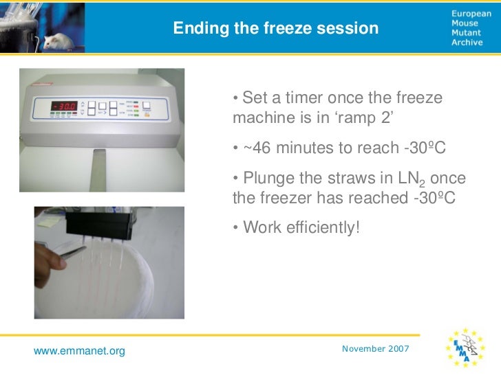 A Slow Freeze/Thaw Method for Cryopreservation of Mouse Embryos