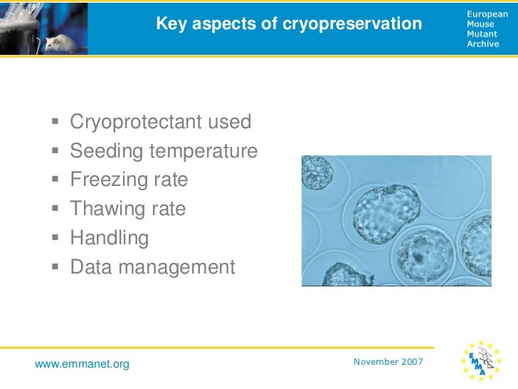 A Slow Freeze/Thaw Method for Cryopreservation of Mouse Embryos
