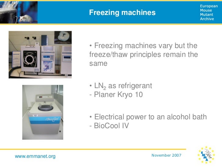 A Slow Freeze/Thaw Method for Cryopreservation of Mouse Embryos