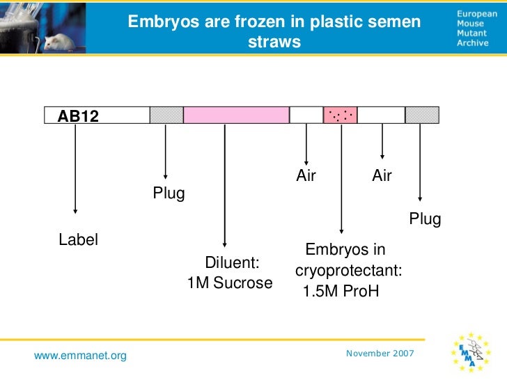 A Slow Freeze/Thaw Method for Cryopreservation of Mouse Embryos