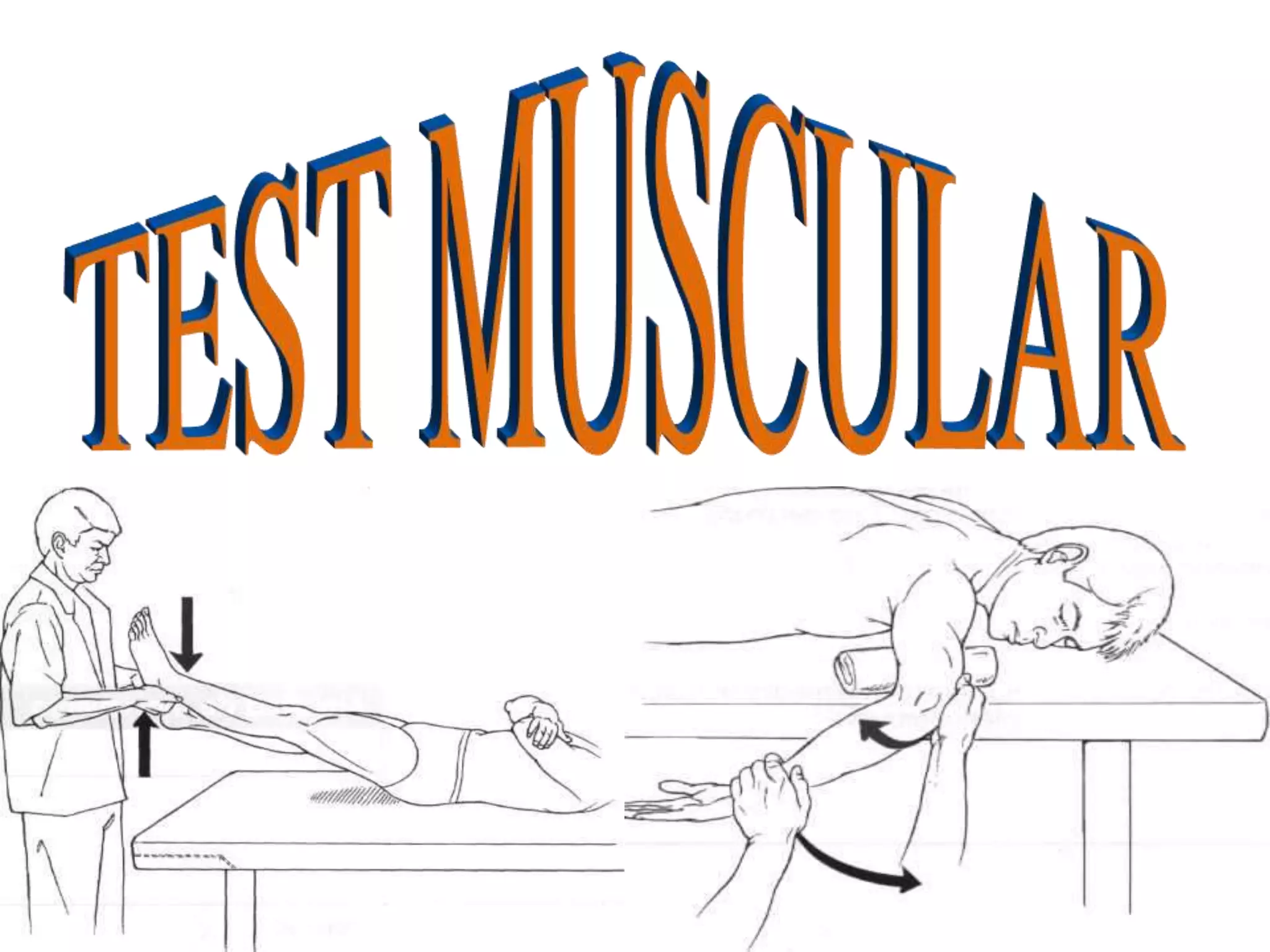 EXAMEN MANUAL MUSCULAR | PPTX