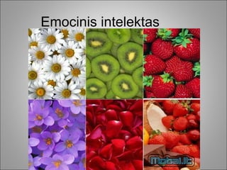 Emocinis intelektas ir kompiuteris (1) | PPT
