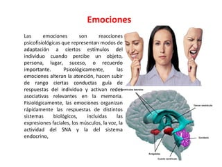 Emociones y sentimientos | PPT