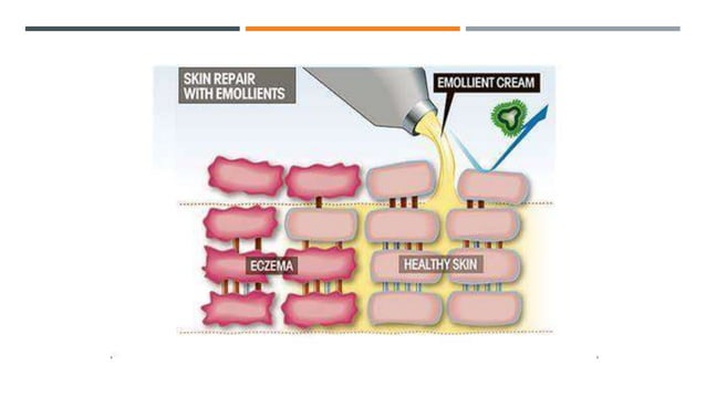 Emollient and Rheological Additive.pptx | Skin Care | Beauty