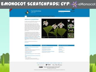 Emonocot presentation linn_soc20912 | PDF