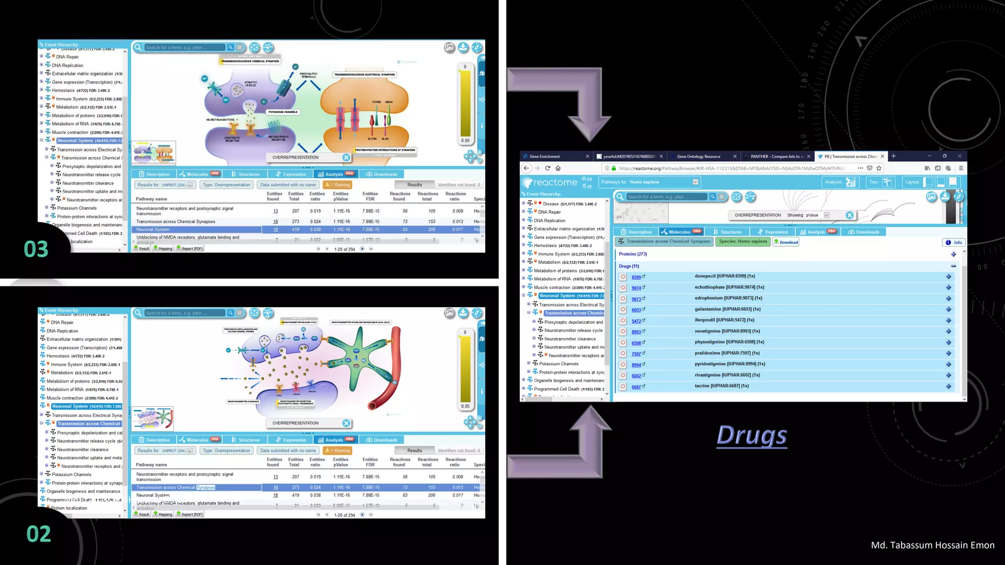 Emon system biology workflow | PPT
