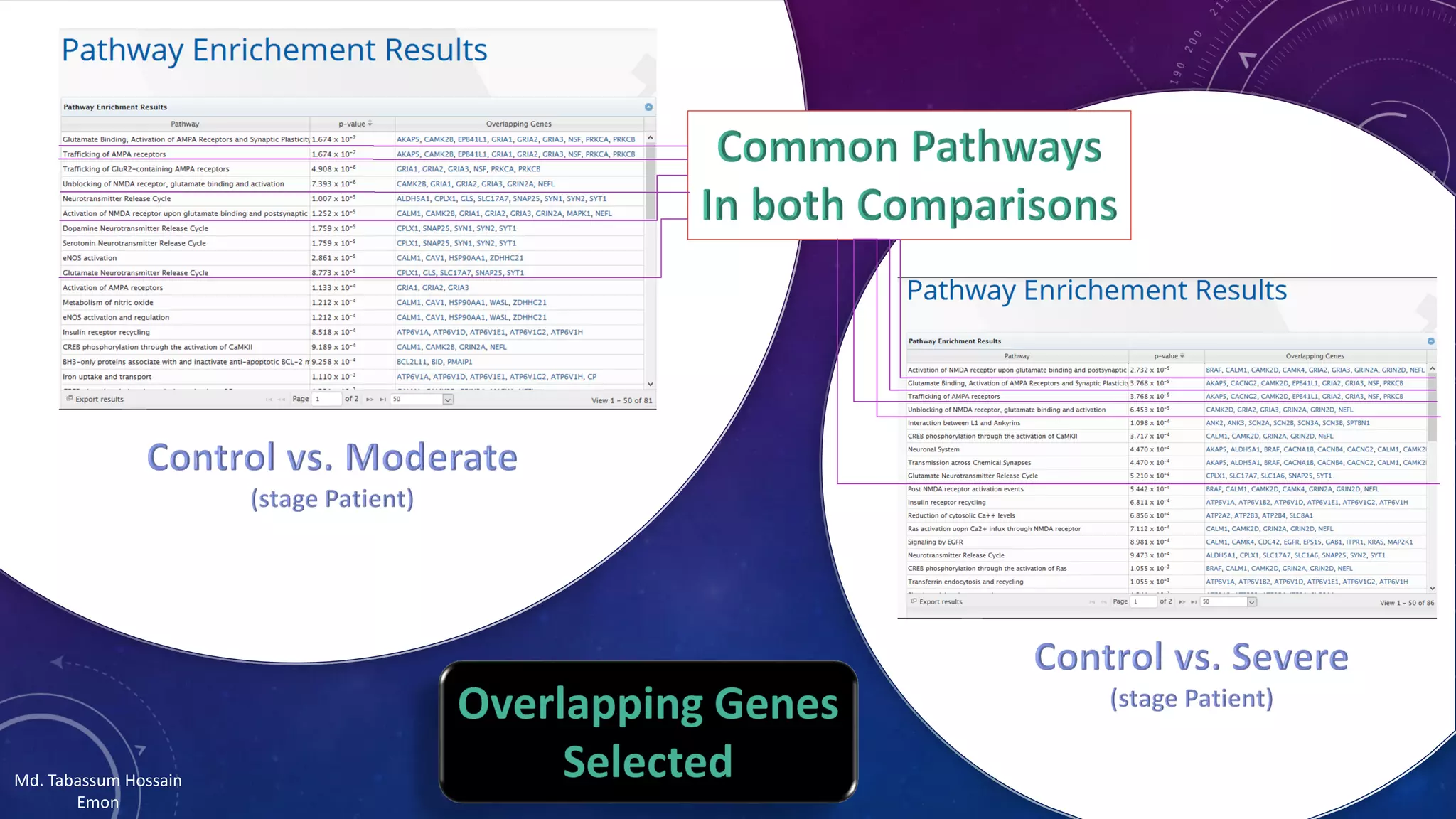 Emon system biology workflow | PPT
