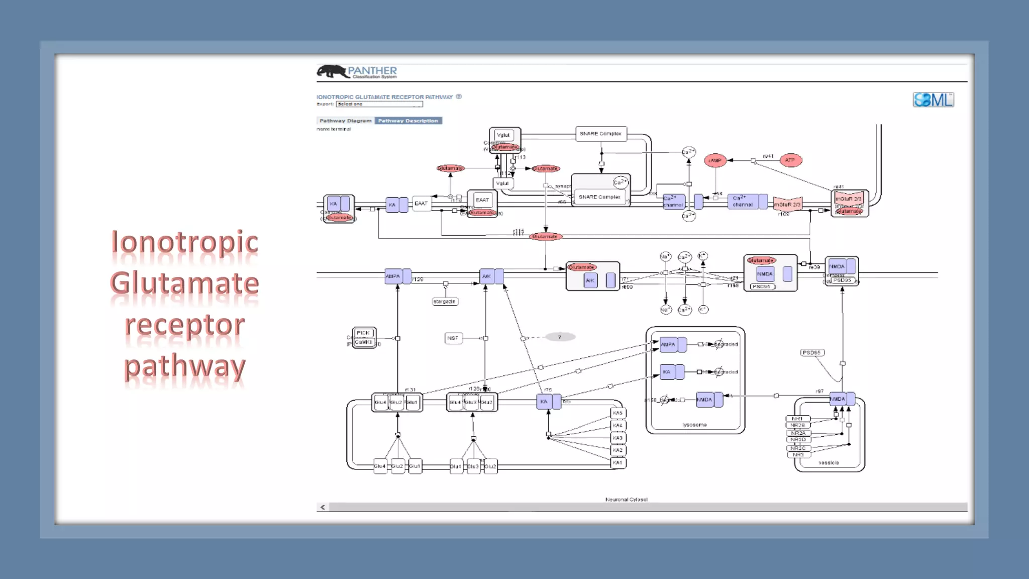 Emon system biology workflow | PPT