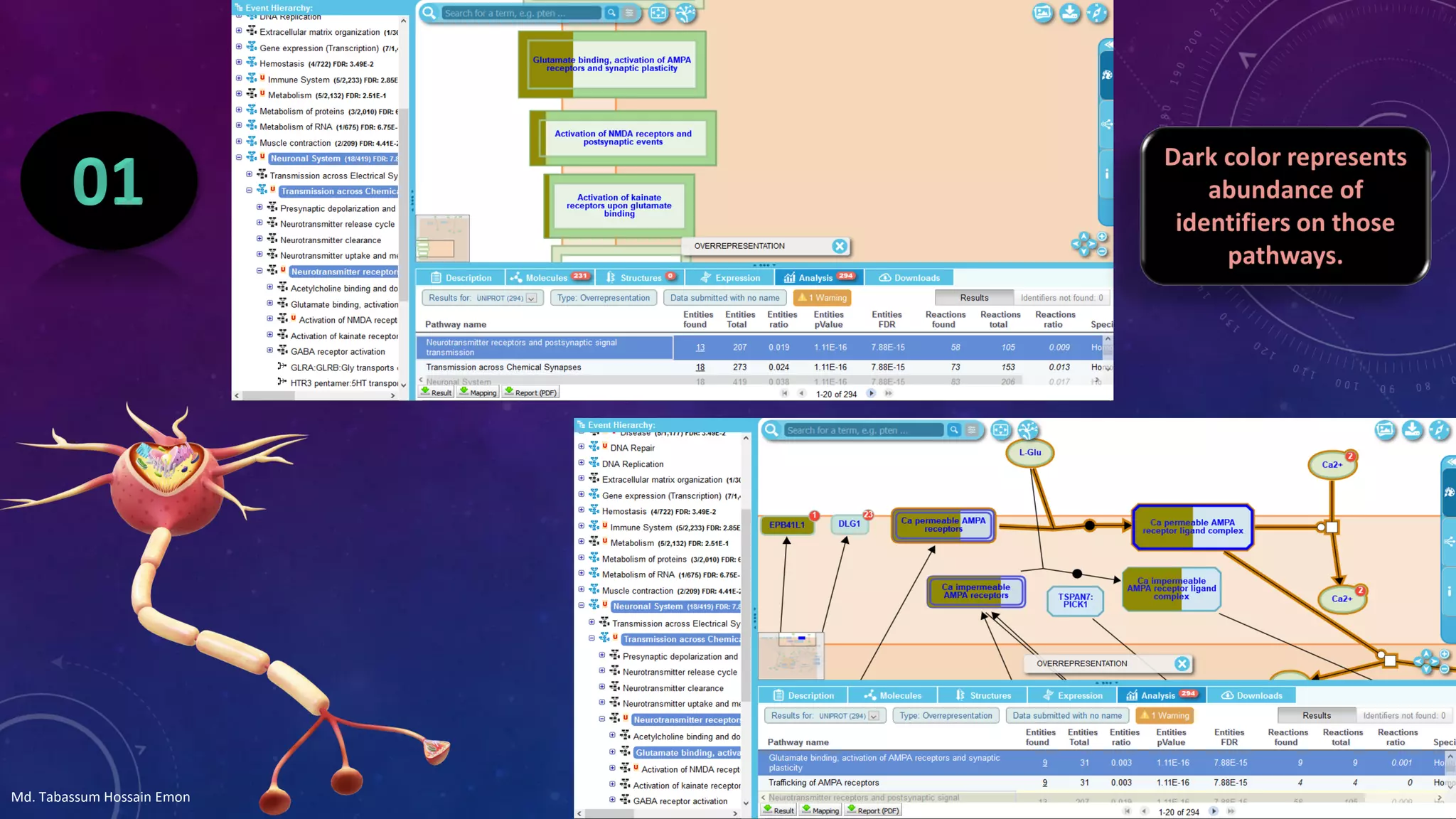 Emon system biology workflow | PPT