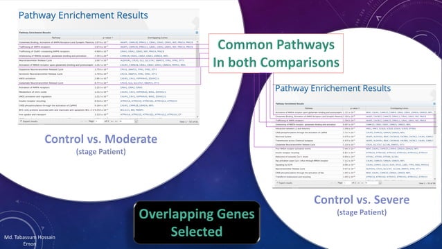 Emon system biology workflow | PPT
