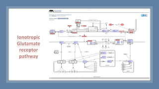 Emon system biology workflow | PPT