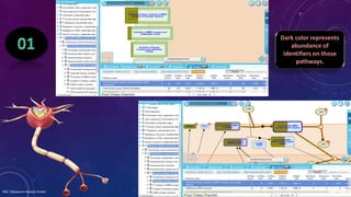 Emon system biology workflow | PPT