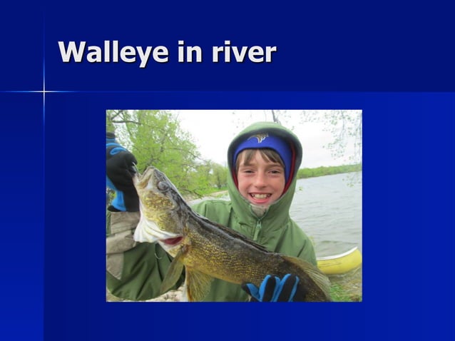 Emotional Intelligence by Tom Esch | PPT