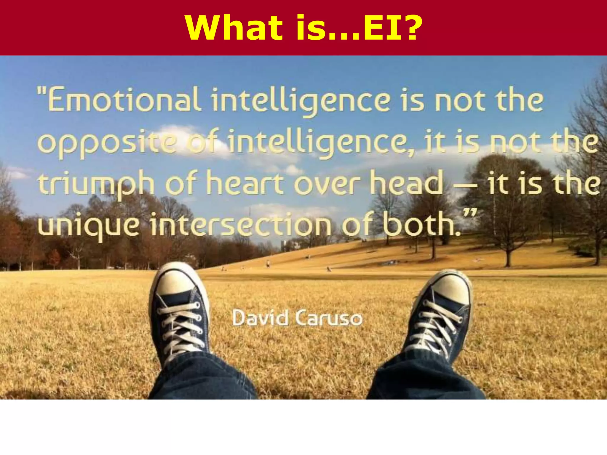 Apply Emotional Intelligence for Career Success | PPTX