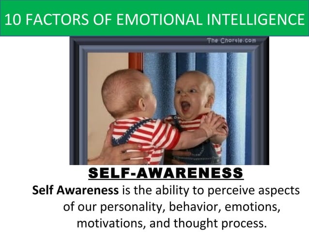 Emotional intelligence scale | PPT | Family and Relationships