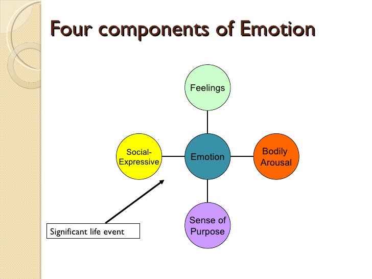 Emotional literacy workshop final