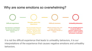 Emotional Regulation the ability to manage and respond | PPT