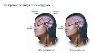 emotion and feeling.pptx