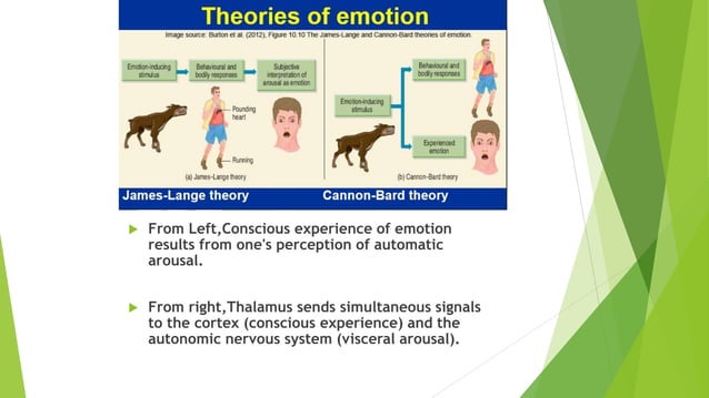 Emotion in psychology 1 | PPT