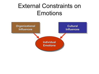 Emotions | PPT | Mental Health | Diseases and Conditions