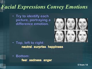 Emotions | PPT