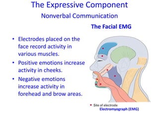 EMOTIONS.ppt