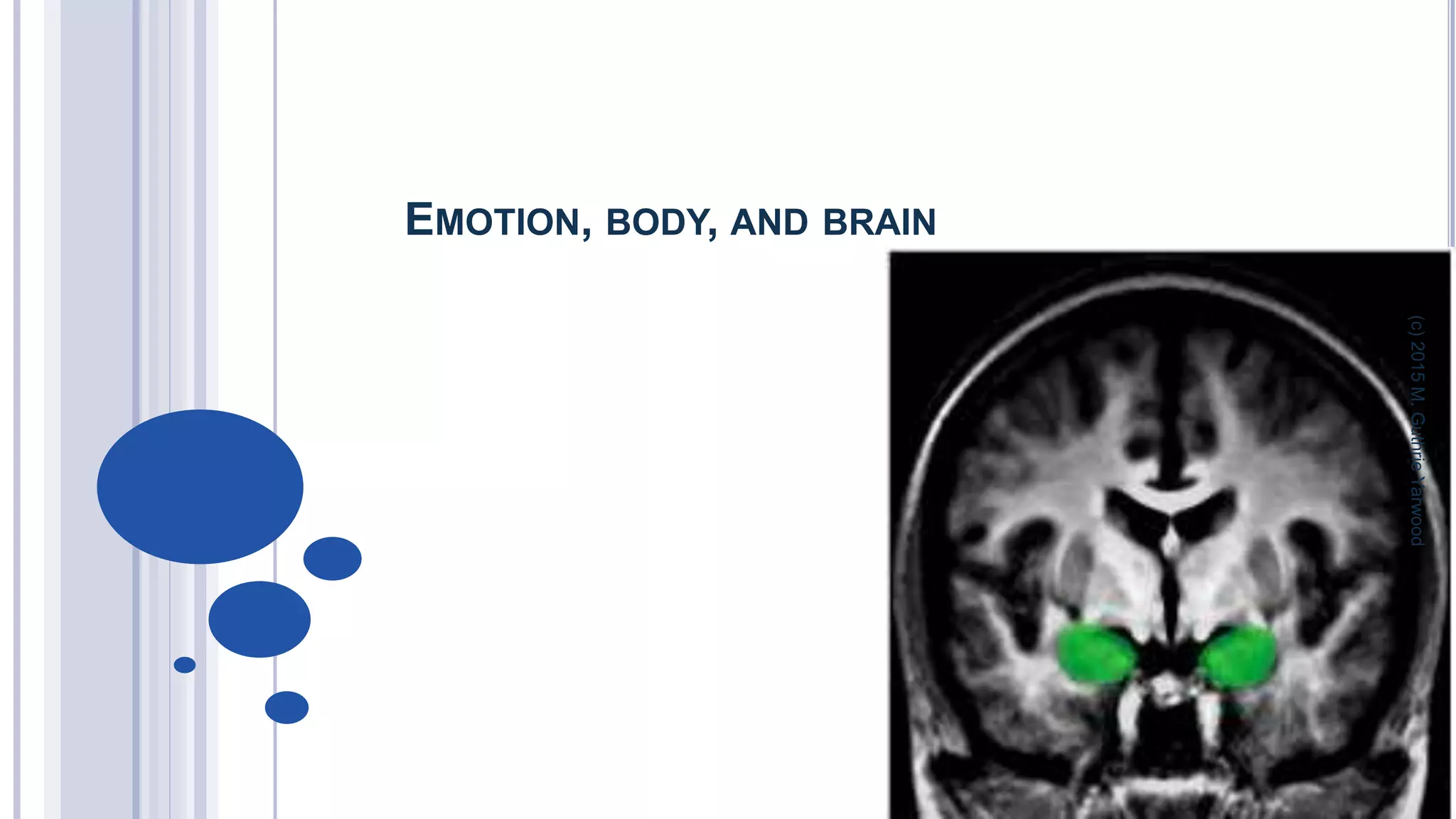 Emotions-Brain-Body | PPTX