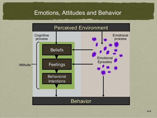 Emotions and attitudes