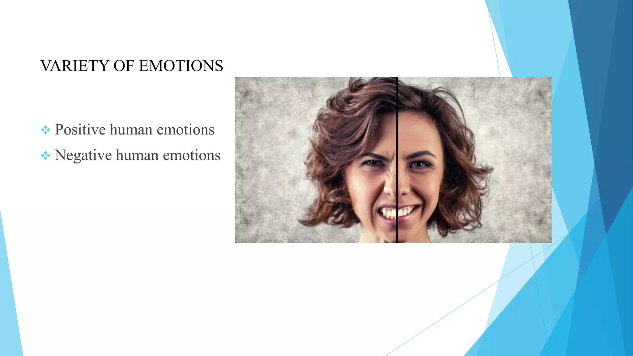 Emotions, Feelings and Social Behaviour | PPTX