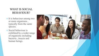 Emotions, Feelings and Social Behaviour | PPTX