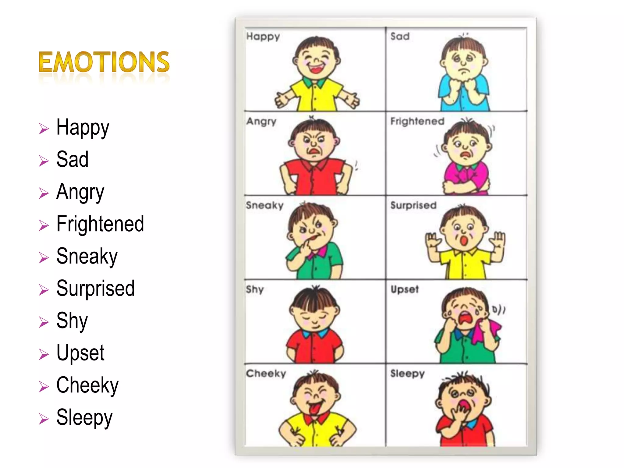 Emotions and Moods.pptx