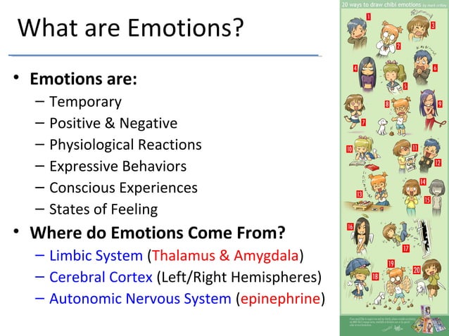 Emotions and stress | PPT | Science